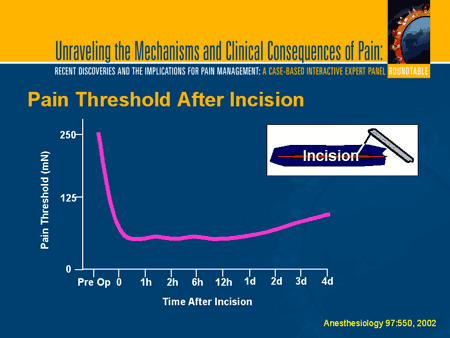 Unraveling the Mechanisms and Clinical Consequences of Pain: Recent ...