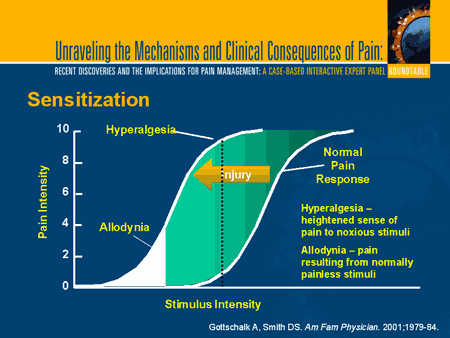 Unraveling the Mechanisms and Clinical Consequences of Pain: Recent ...