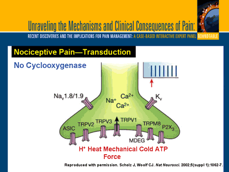 Unraveling the Mechanisms and Clinical Consequences of Pain: Recent ...