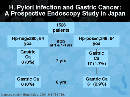 The Treatment of H. pylori: Where are We Now?