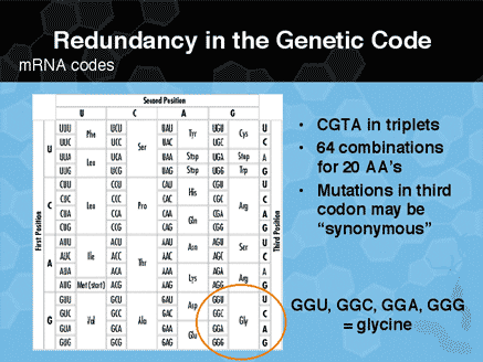 The Treatment of H. pylori: Where are We Now?