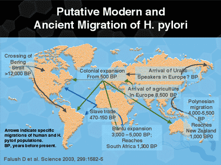 The Treatment of H. pylori: Where are We Now?