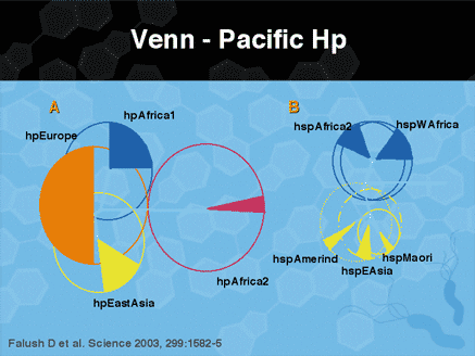 The Treatment of H. pylori: Where are We Now?
