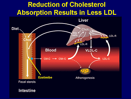 Practice Implications of Recent Hypertension and Lipid Trials: Weighing ...