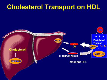 Practice Implications of Recent Hypertension and Lipid Trials: Weighing ...