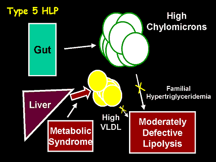 Practice Implications of Recent Hypertension and Lipid Trials: Weighing ...