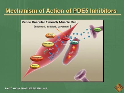 The Emerging Frontier for Management of Erectile Dysfunction ...