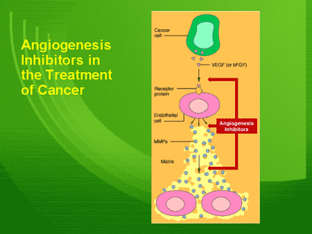 Patient Empowerment: Combining Patient Goals of Therapy With Treatment ...