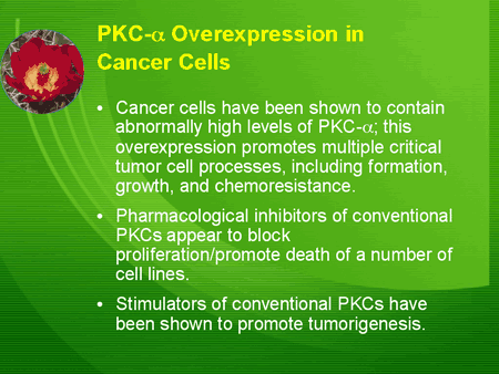 Patient Empowerment: Combining Patient Goals of Therapy With Treatment ...