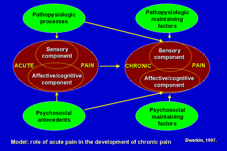 Safe and Effective Management of the Patient with Acute or Chronic Pain ...