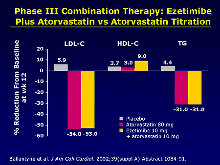 Examining The Dyslipidemia Constellation: An Interactive Forum On New Treatment Advances