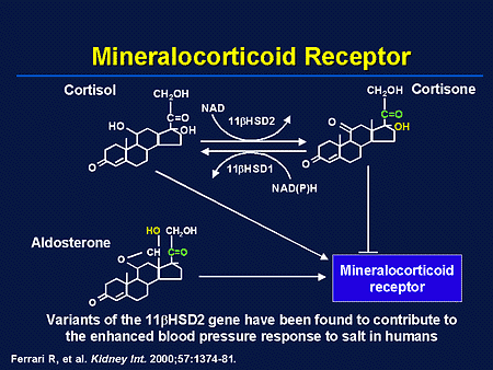 Evidence-Based Strategies for the Cardioprotective Role of Selective ...