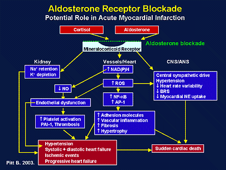 Evidence-Based Strategies for the Cardioprotective Role of Selective ...