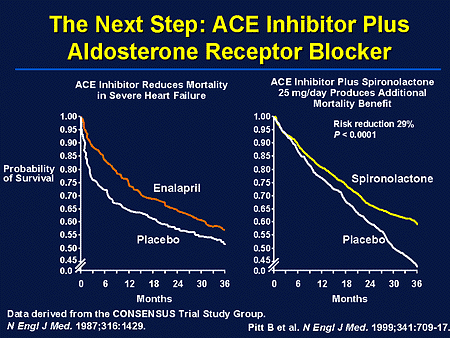 Evidence-Based Strategies for the Cardioprotective Role of Selective ...