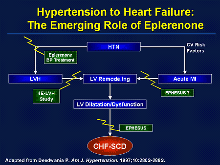 Evidence-Based Strategies for the Cardioprotective Role of Selective ...