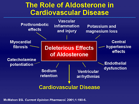 Evidence-Based Strategies for the Cardioprotective Role of Selective ...