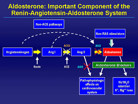 Evidence-Based Strategies for the Cardioprotective Role of Selective ...