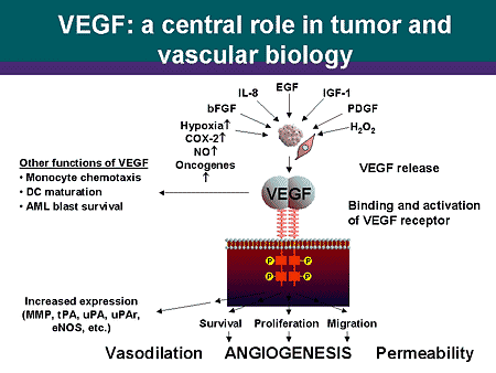 Targeting Critical Pathways in Oncology