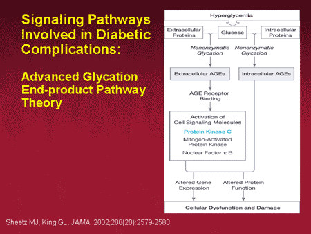 Pathways Leading to Diabetic Microvascular Complications and the Latest ...