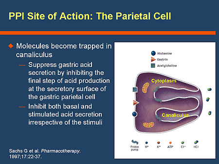 The Great Debates: Bridging the Gap Between Expectations and Results in ...