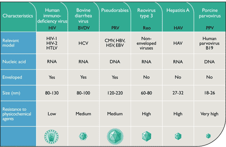 Selecting Appropriate IGIV Therapy
