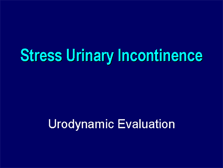 New Horizons in Stress Urinary Incontinence Treatment