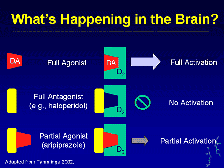 Antipsychotic Dosing: Individualizing Medication Treatment