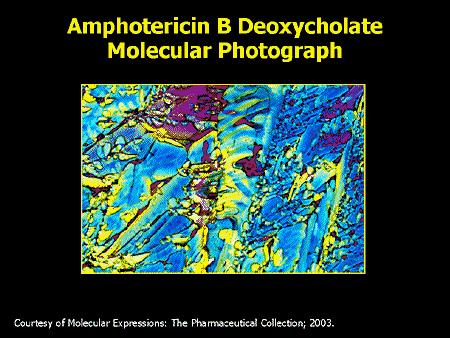 Managing Infections in Patients With Hematologic Malignancies