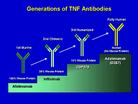 The Biologic Revolution in Rheumatoid Arthritis: How TNF Antagonists ...