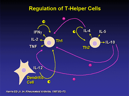 The Biologic Revolution in Rheumatoid Arthritis: How TNF Antagonists ...