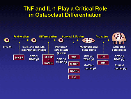 The Biologic Revolution in Rheumatoid Arthritis: How TNF Antagonists ...
