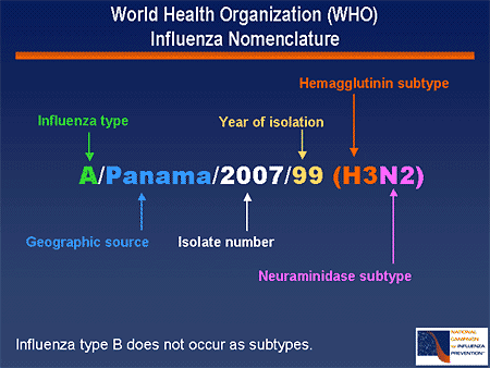 Confronting Influenza: Prevention Strategies That Work