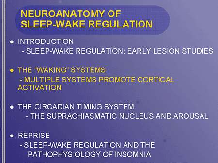 Insomnia and Beyond: The Neurochemical Basis for Targeted Sleep ...