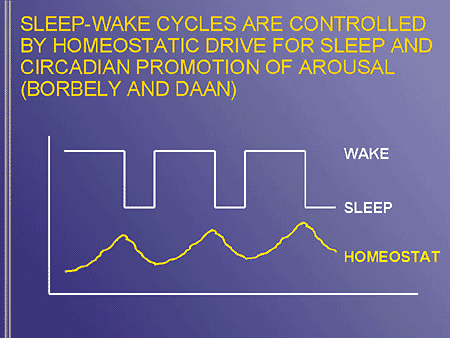 Insomnia and Beyond: The Neurochemical Basis for Targeted Sleep ...