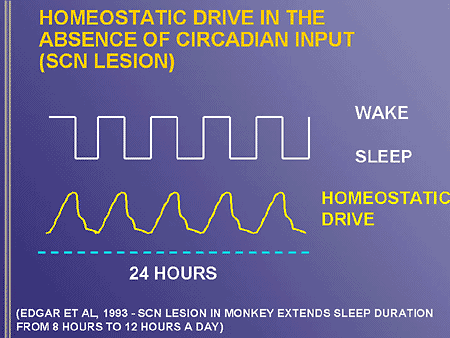 Insomnia and Beyond: The Neurochemical Basis for Targeted Sleep ...