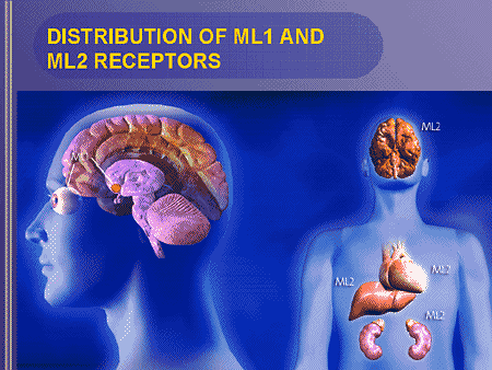 Insomnia and Beyond: The Neurochemical Basis for Targeted Sleep ...