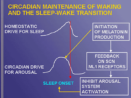 Insomnia and Beyond: The Neurochemical Basis for Targeted Sleep ...