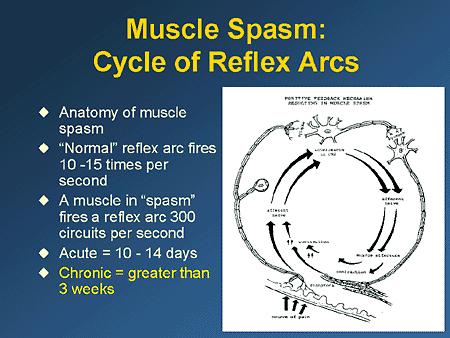 Emerging Solutions in Musculoskeletal Pain: The Role of Opioids in the ...