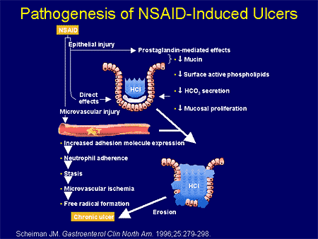 Beyond the Mundane: An Update in Acid-Related Disorders