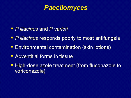 Update on Fungal Disease 2003