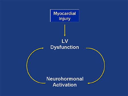 The Evolution of Heart Failure Management: The Role of Aldosterone