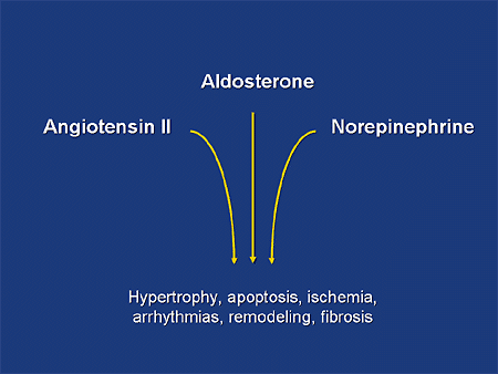 The Evolution of Heart Failure Management: The Role of Aldosterone