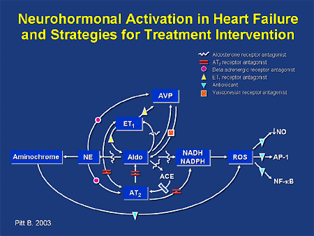 The Evolution of Heart Failure Management: The Role of Aldosterone