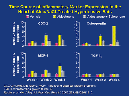 The Evolution of Heart Failure Management: The Role of Aldosterone
