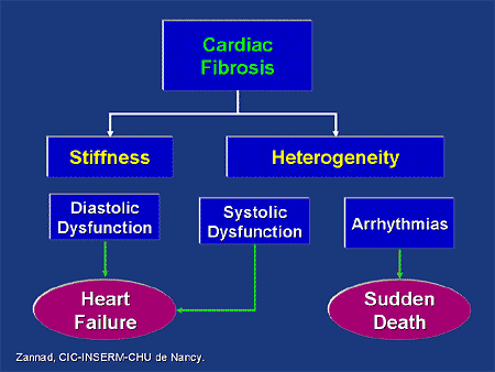 The Evolution of Heart Failure Management: The Role of Aldosterone