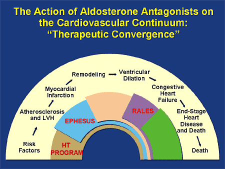 The Evolution of Heart Failure Management: The Role of Aldosterone