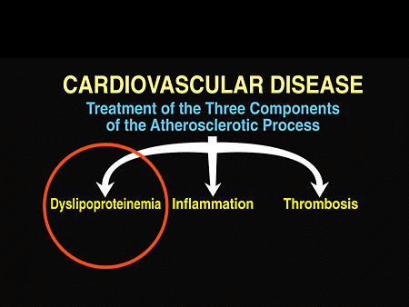 A New Dawn of the Treatment of Dyslipidemia: Cardiovascular Risk ...