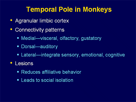 Temporal Lobe Epilepsy: The Current State of Knowledge