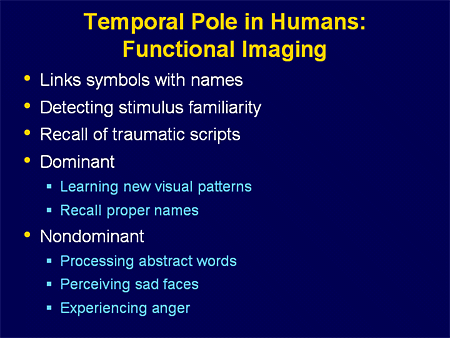 Temporal Lobe Epilepsy: The Current State of Knowledge