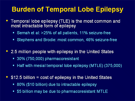 Temporal Lobe Epilepsy: The Current State of Knowledge